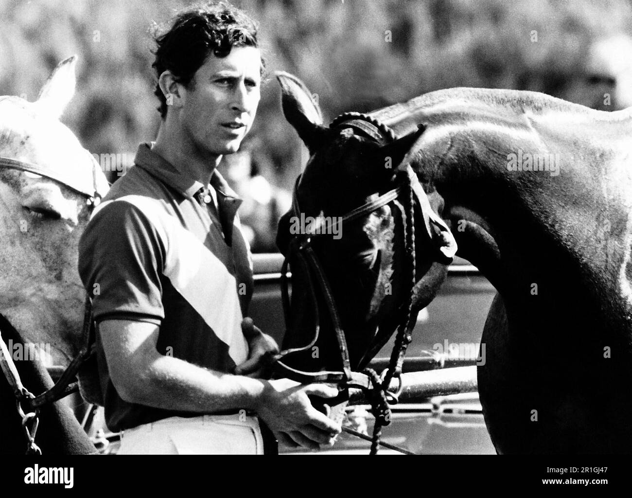 King charles iii 2022 hi-res stock photography and images - Alamy