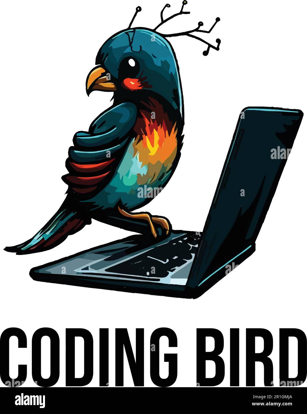 Coding bird hi-res stock photography and images - Alamy