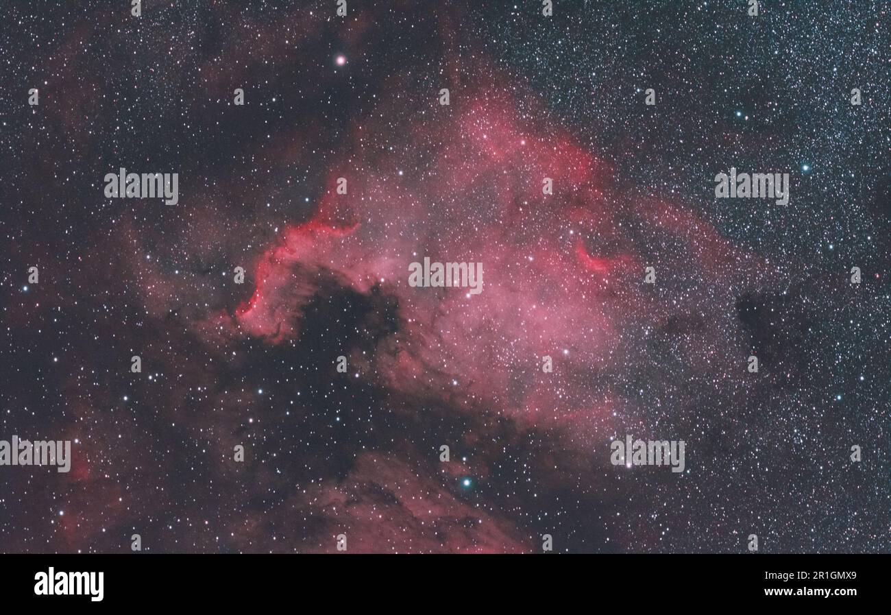 The North America emission nebula in the constellation Cygnus Stock Photo - Alamy