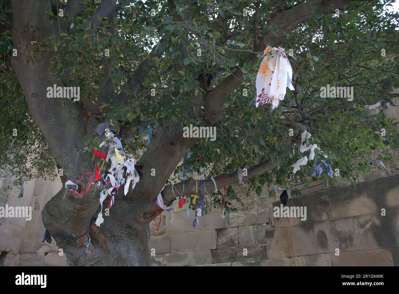 Wishing tree hi-res stock photography and images - Alamy