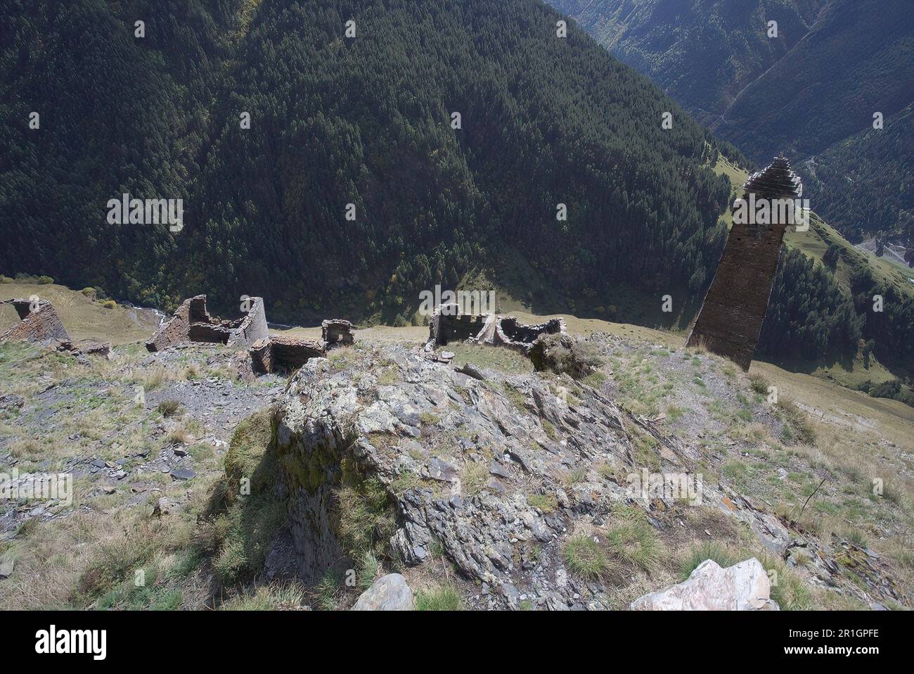 Watch they neighbour (and the one beyond even more so Stock Photo - Alamy