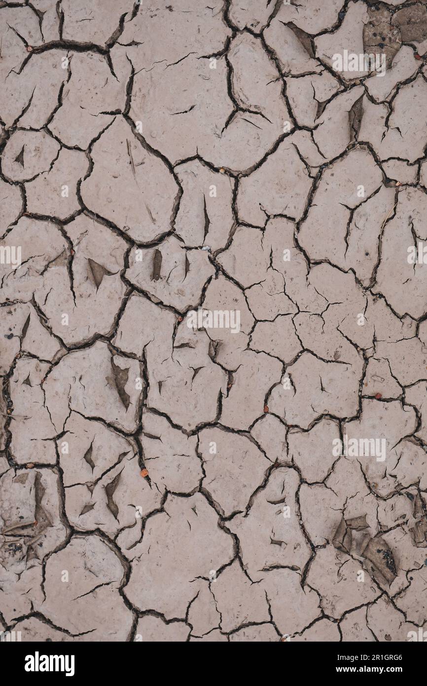 dry ground in the nature, global warming, climate change Stock Photo ...