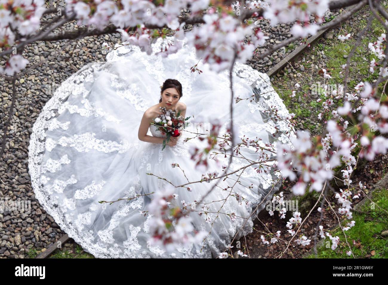 Kyoto, Japan - April 1st 2019; Wedding photo shooting Stock Photo - Alamy