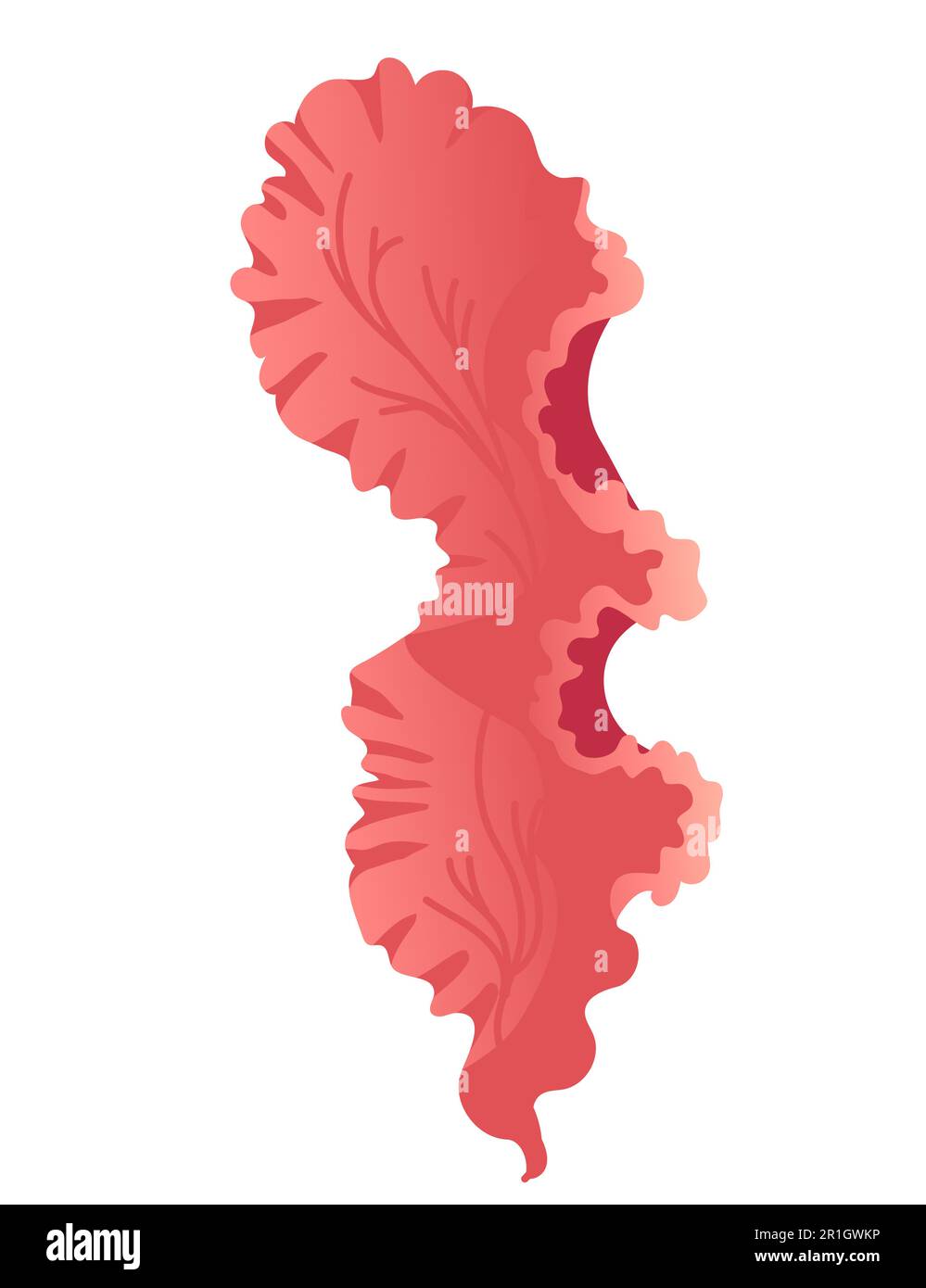 Red color underwater seaweed vector illustration isolated on white ...