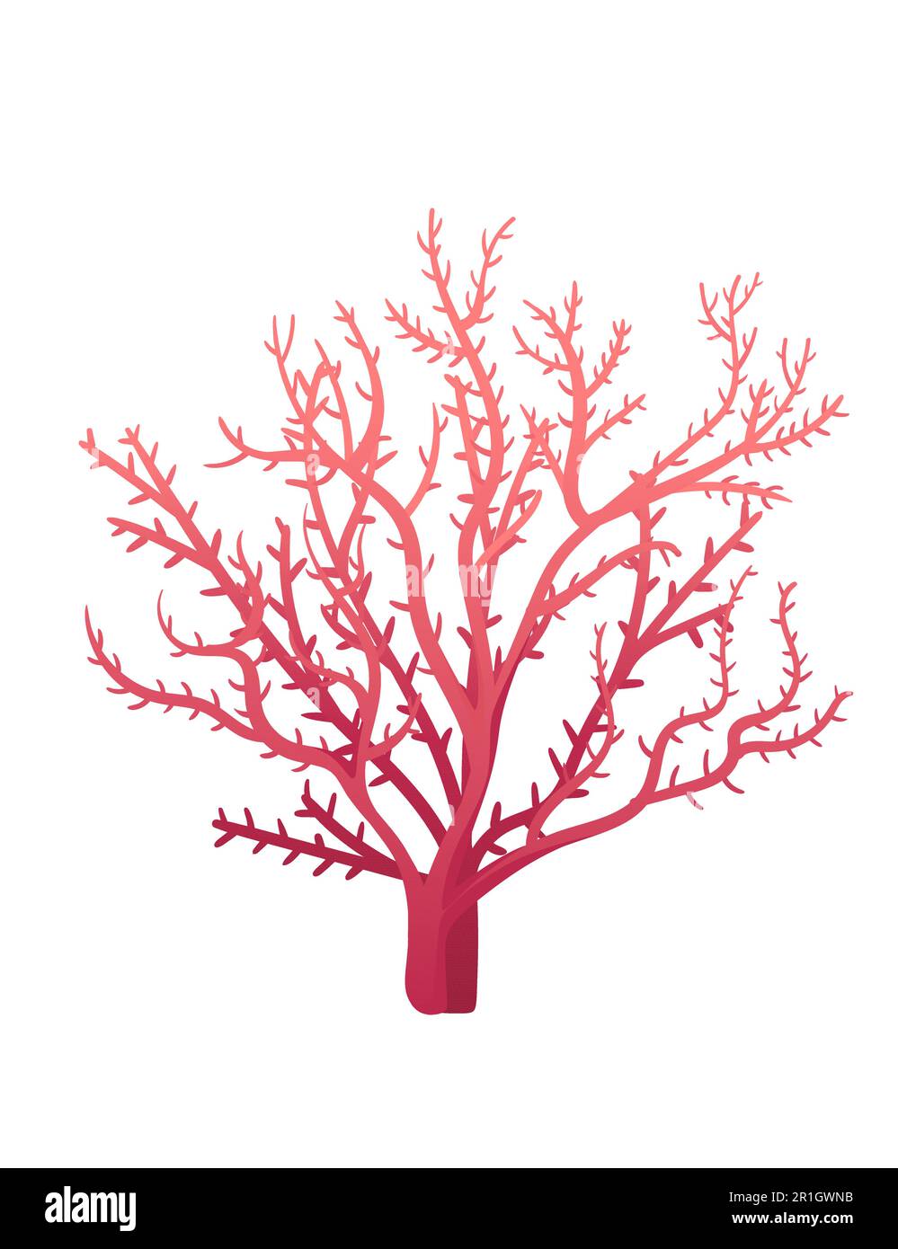 Red color underwater seaweed vector illustration isolated on white ...