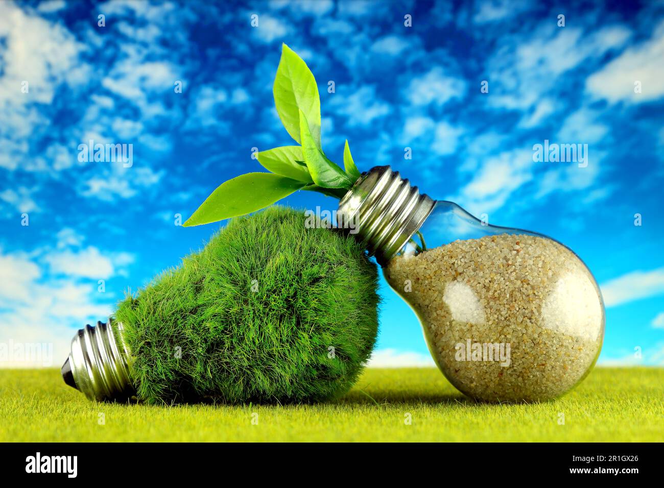 Green eco light bulb with grass, plant growing inside the light bulb ...