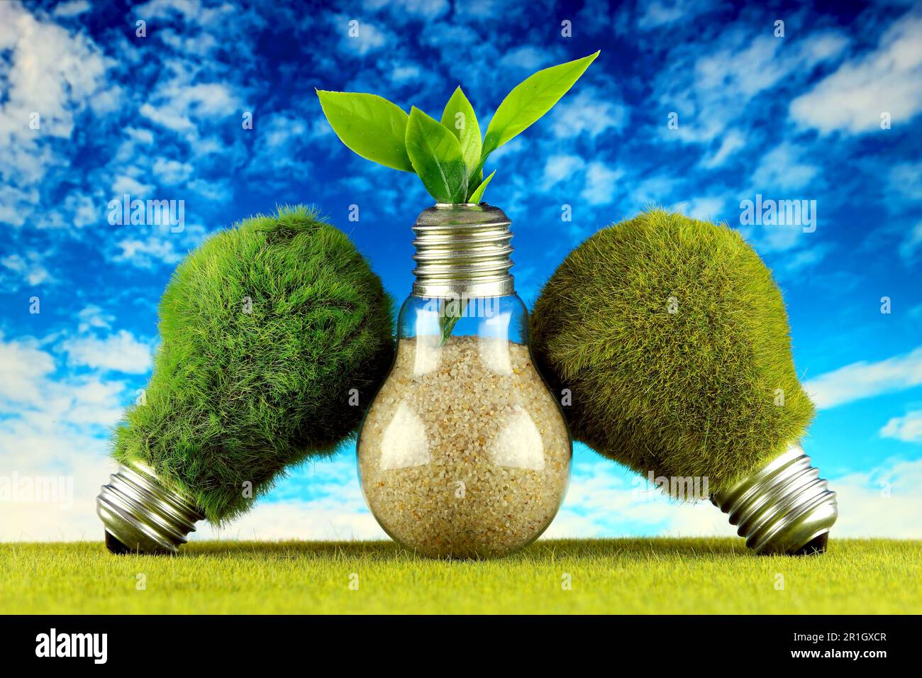 Green eco light bulbs with grass, plant growing inside the light bulb ...