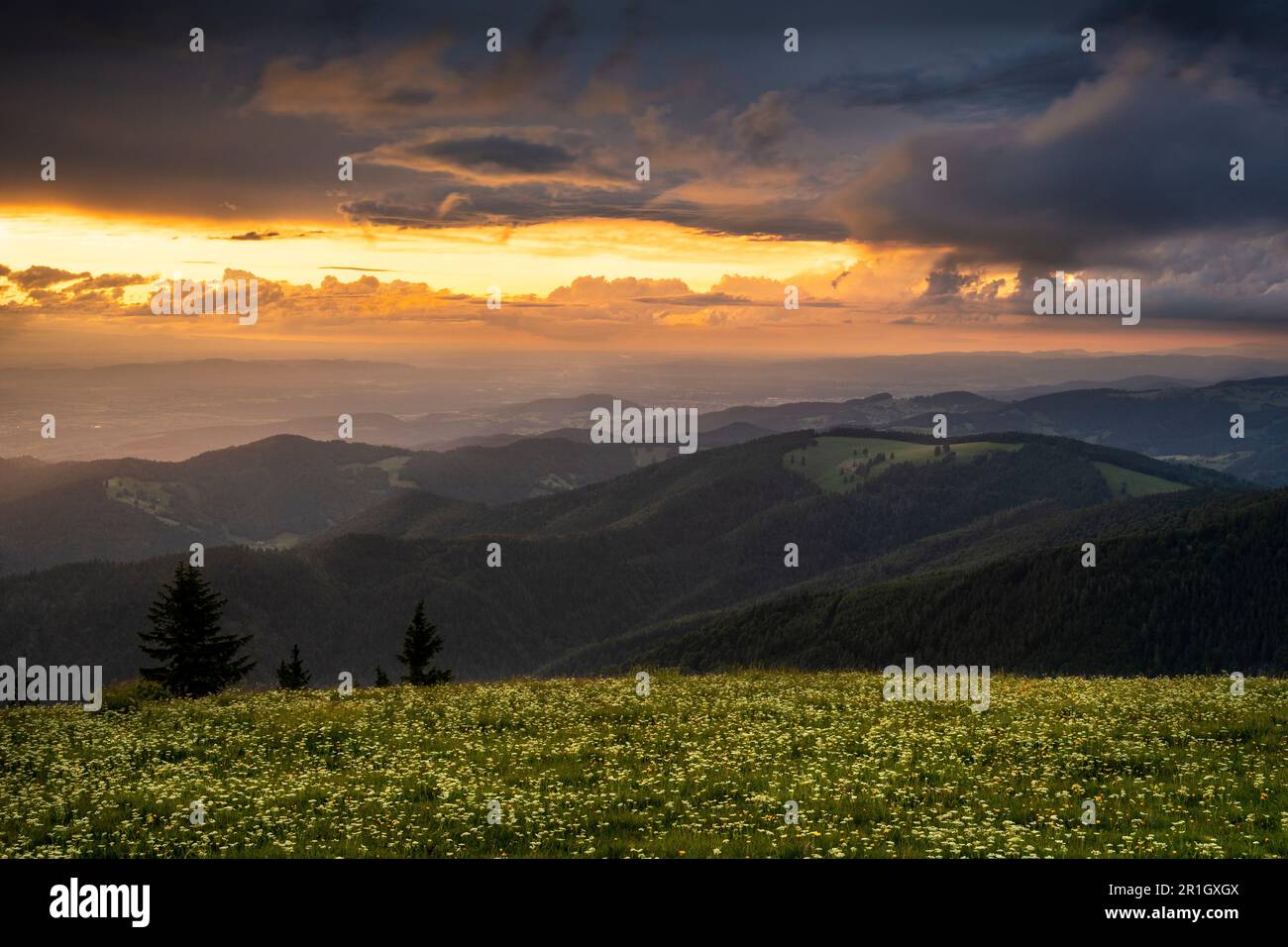 Landscape in the Black Forest. View from mount Belchen at sunset. A ...