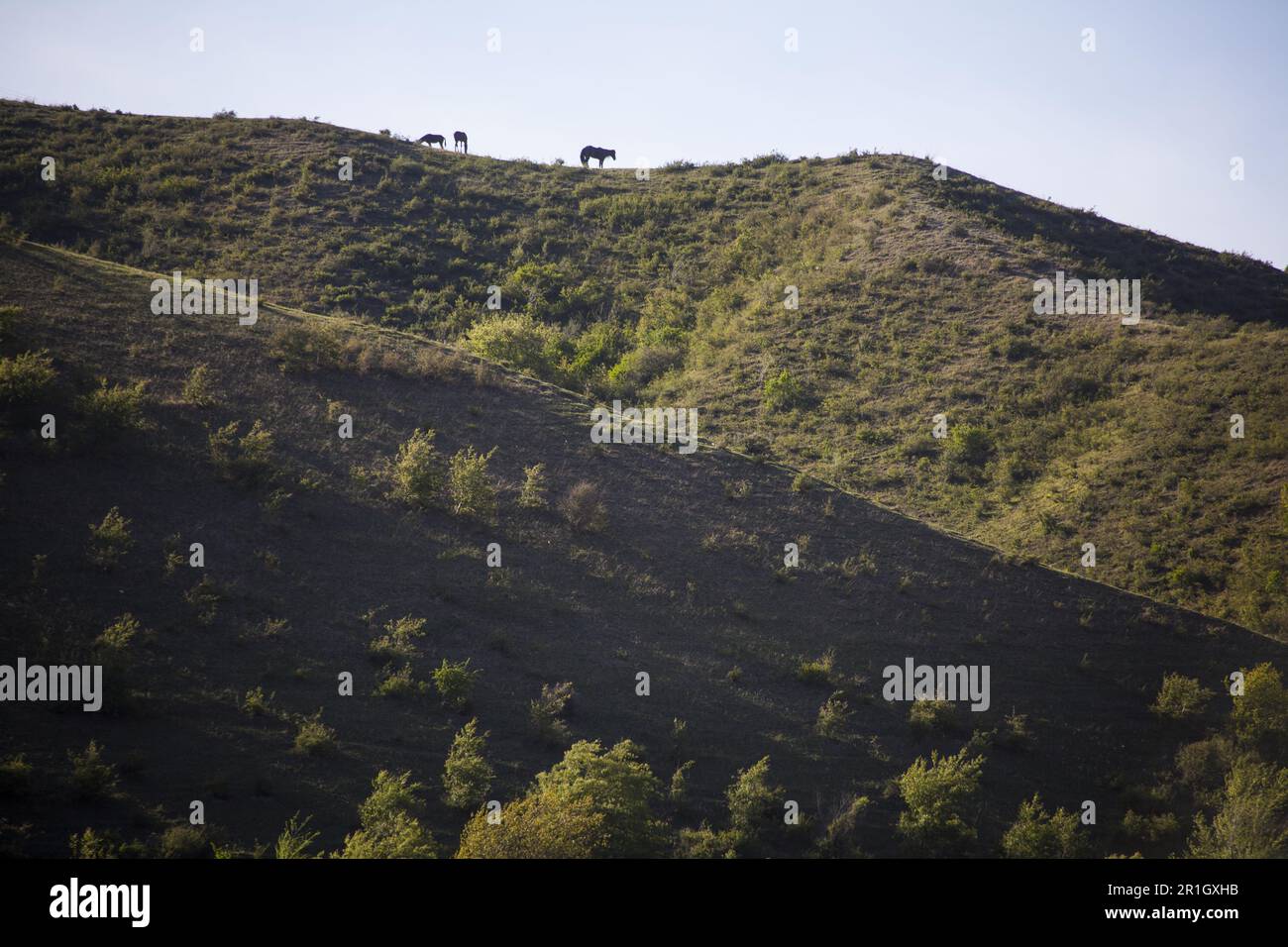 Aerial photo shows the scenery of China Fushou Mountain Scenic Area in ...
