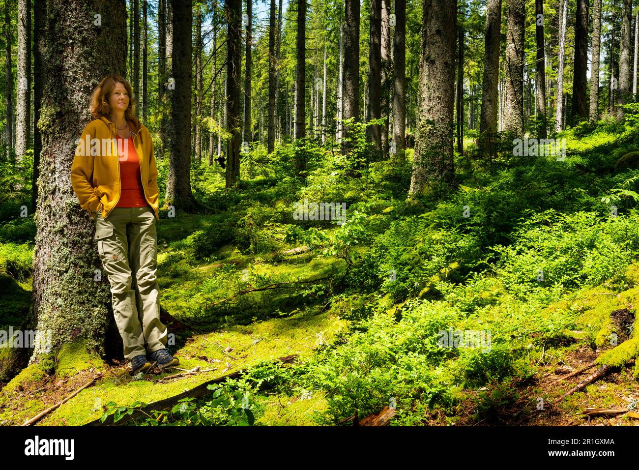 Landscape in the Black Forest. A woman standing in the forest, leaning ...