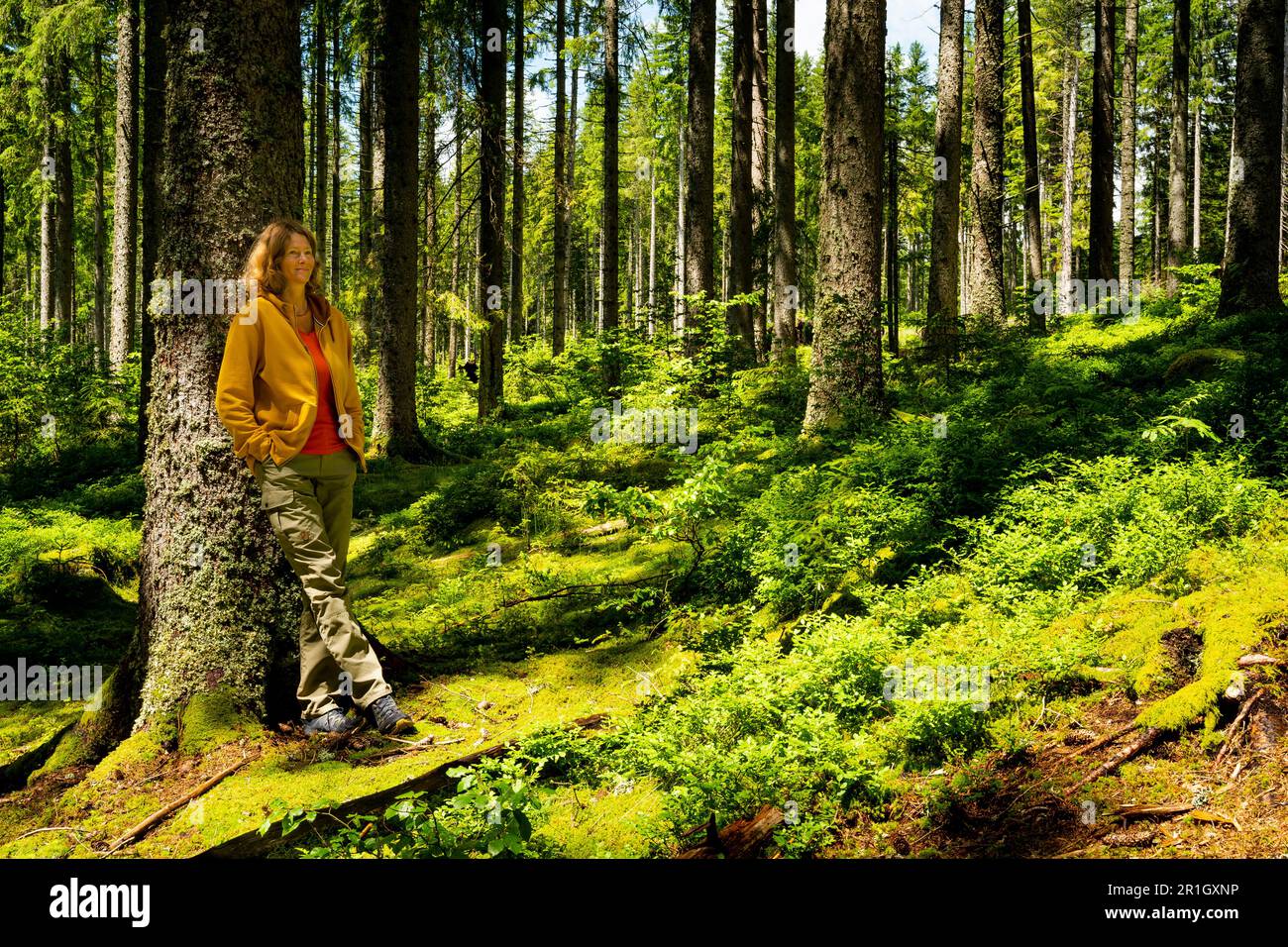 Landscape in the Black Forest. A woman standing in the forest, leaning ...
