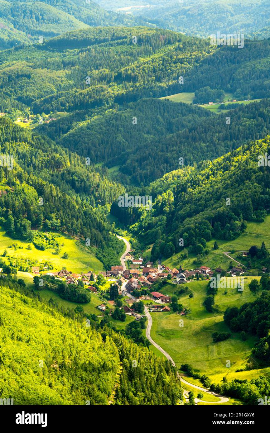 Landscape in the Black Forest. The village Neuenweg, surrounded by ...