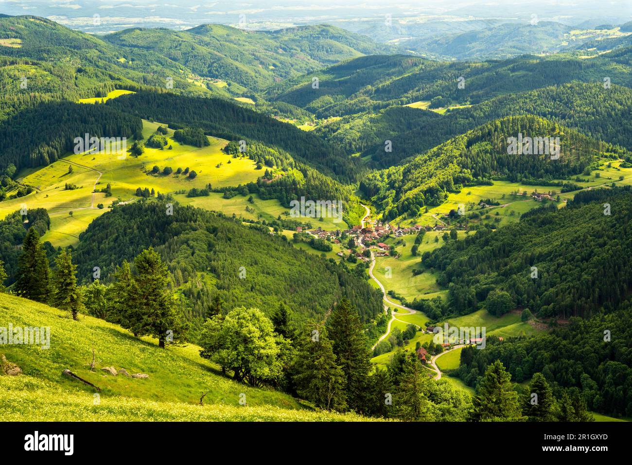 Landscape in the Black Forest. The village Neuenweg, surrounded by ...
