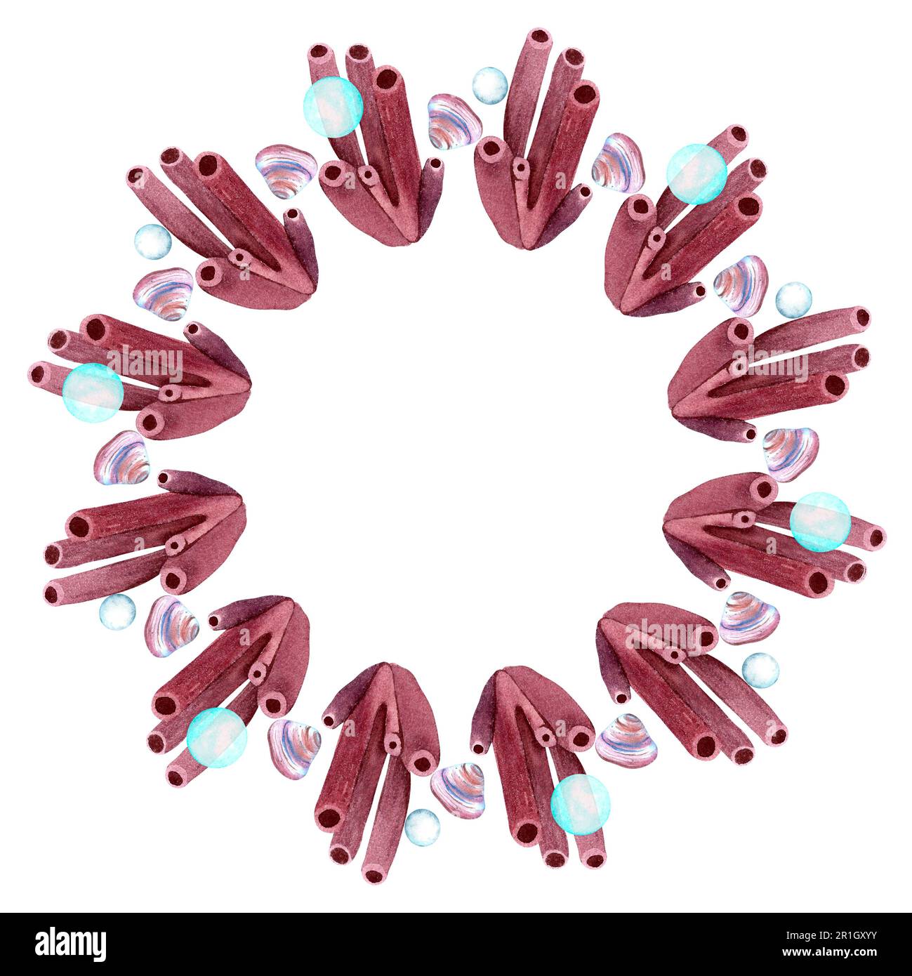 a frame sea reefs and shells painted in watercolour isolated white ...