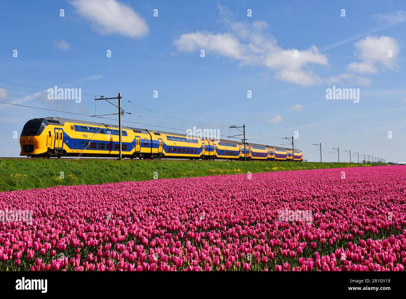 Dutch railways hi-res stock photography and images - Alamy