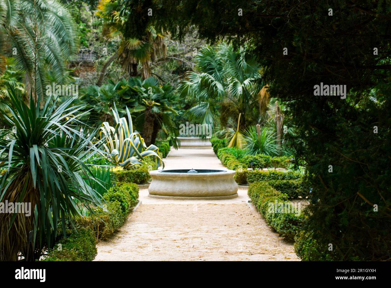Straight road path goes into a distance into lush jungle fresh green ...