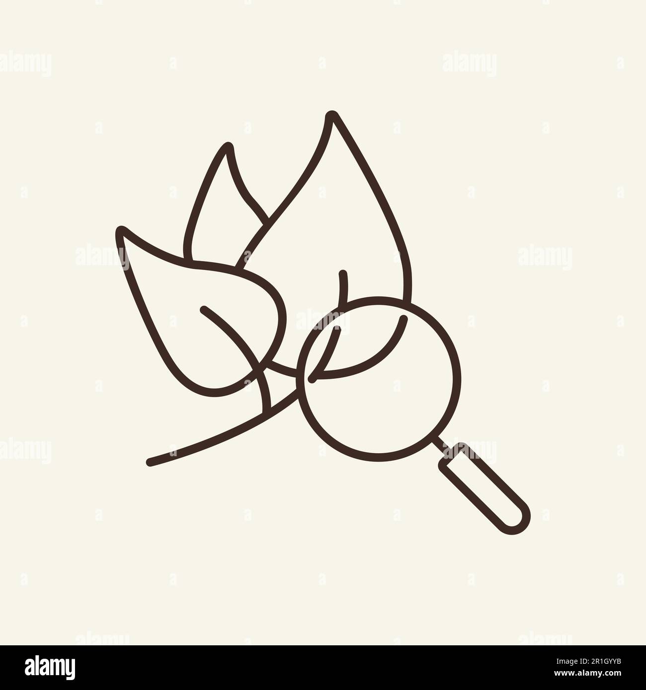 Scientist magnifying glass leaf Stock Vector Images - Alamy
