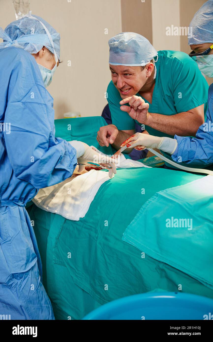 Clamp down with a tiny bit of pressure. a surgeon giving his colleague ...
