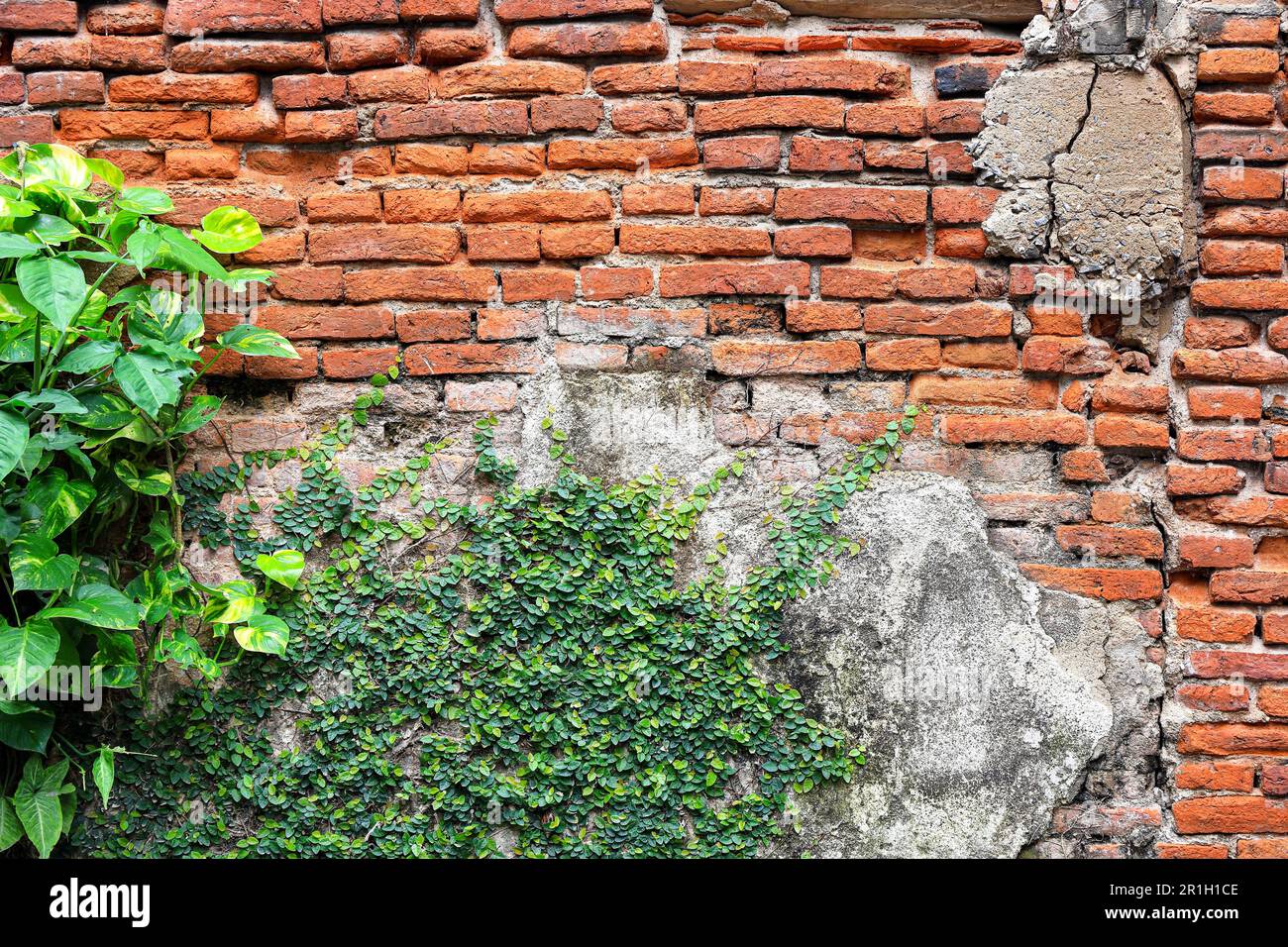 Partially covered concrete hi-res stock photography and images - Alamy