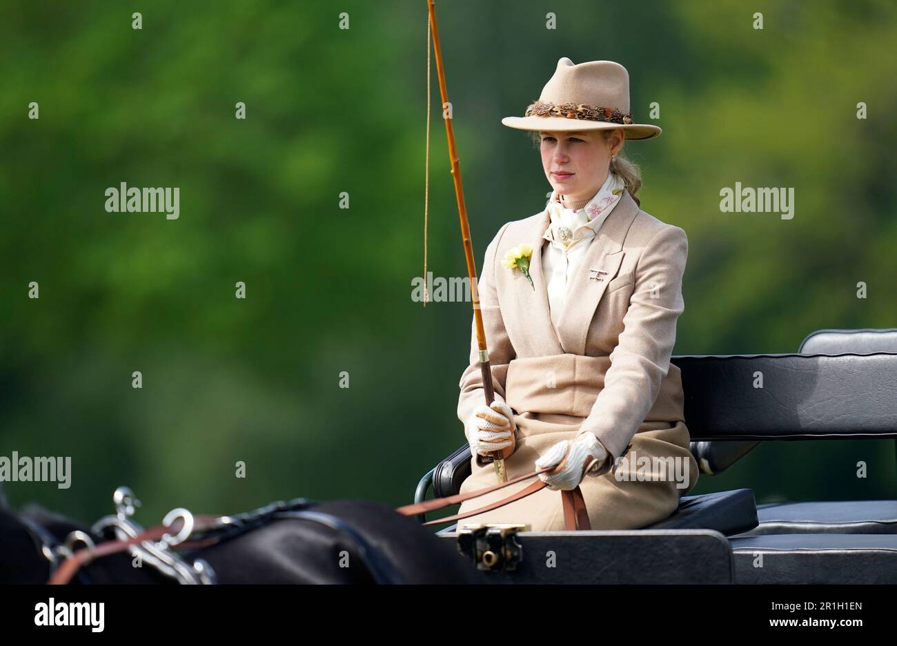 Lady Louise Windsor drives a carriage in the Pol Roger Meet of the ...