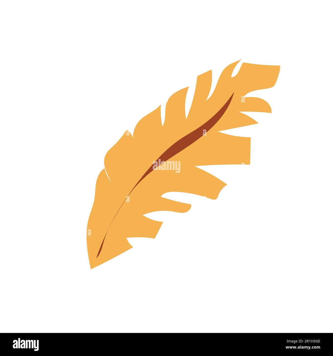 Feather icon vector isolated on white background for your web and ...