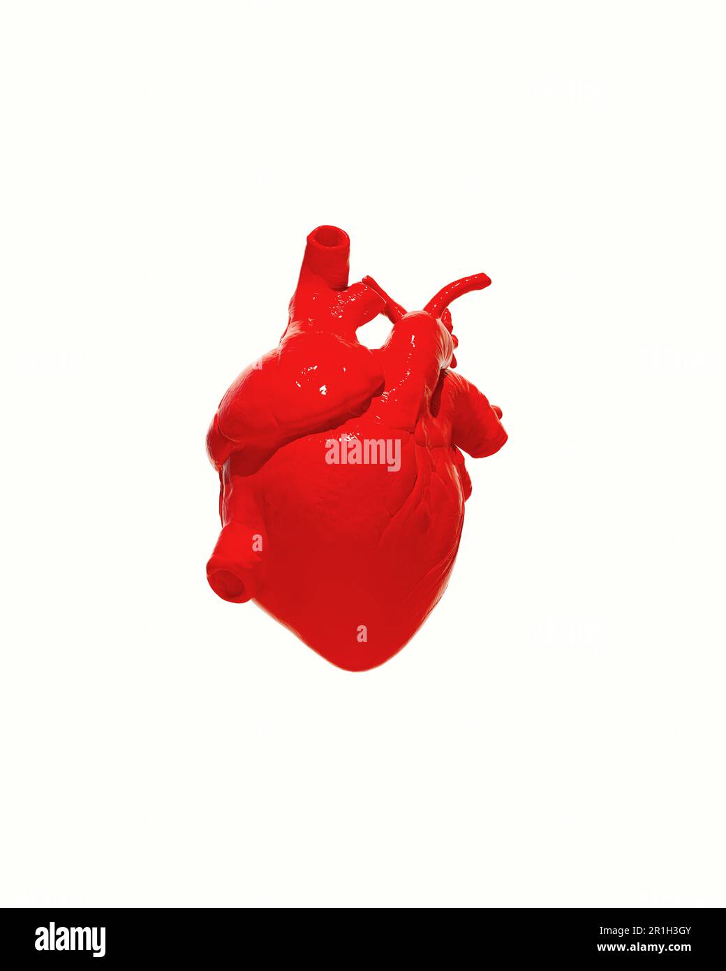 Human heart diagram hi-res stock photography and images - Alamy