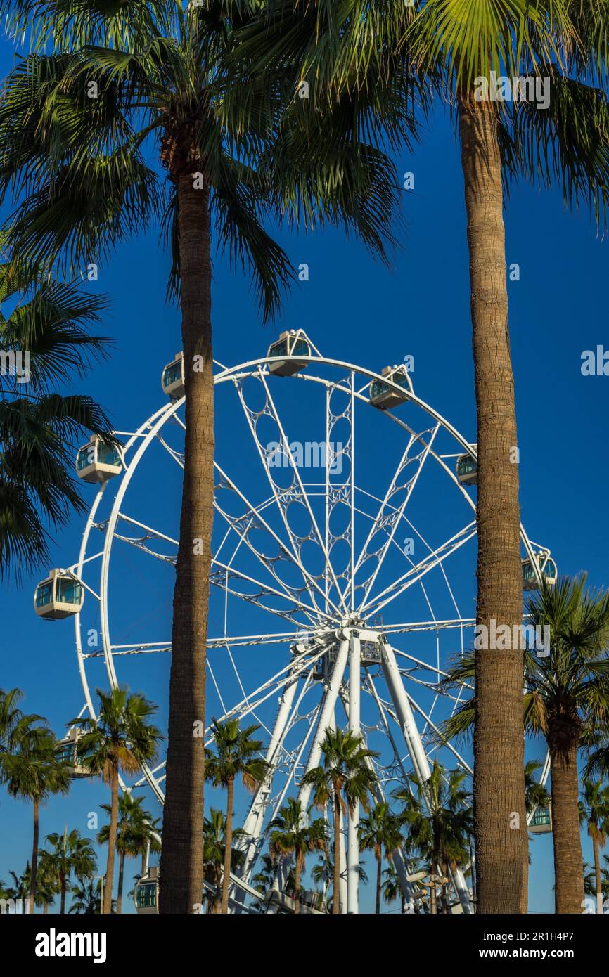 Ferris wheel with palm trees and deep blue sky in the center of ...