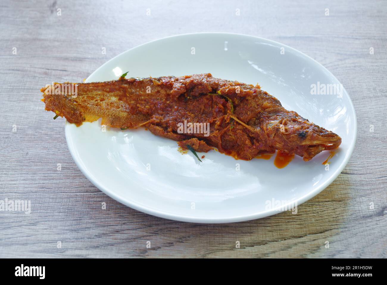 Sheatfishes hi-res stock photography and images - Alamy