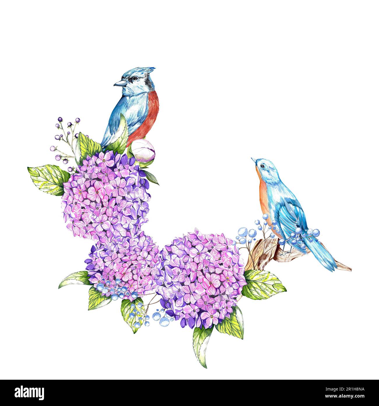 a set of watercolor elements. Forest birds, flowers, juniper, rose hips ...