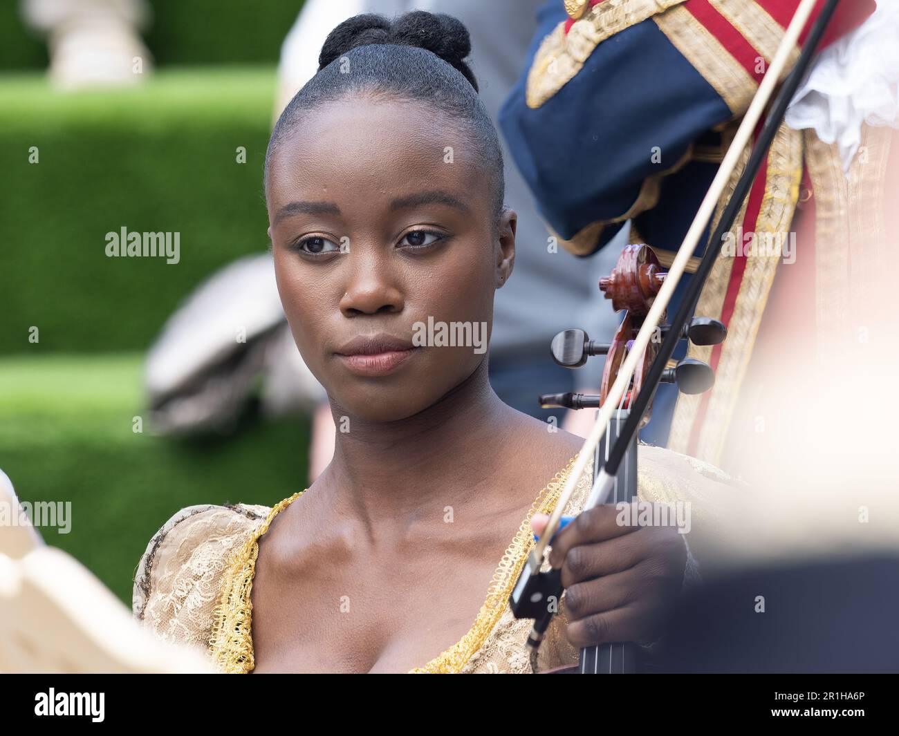 Liver violin player hi-res stock photography and images - Alamy