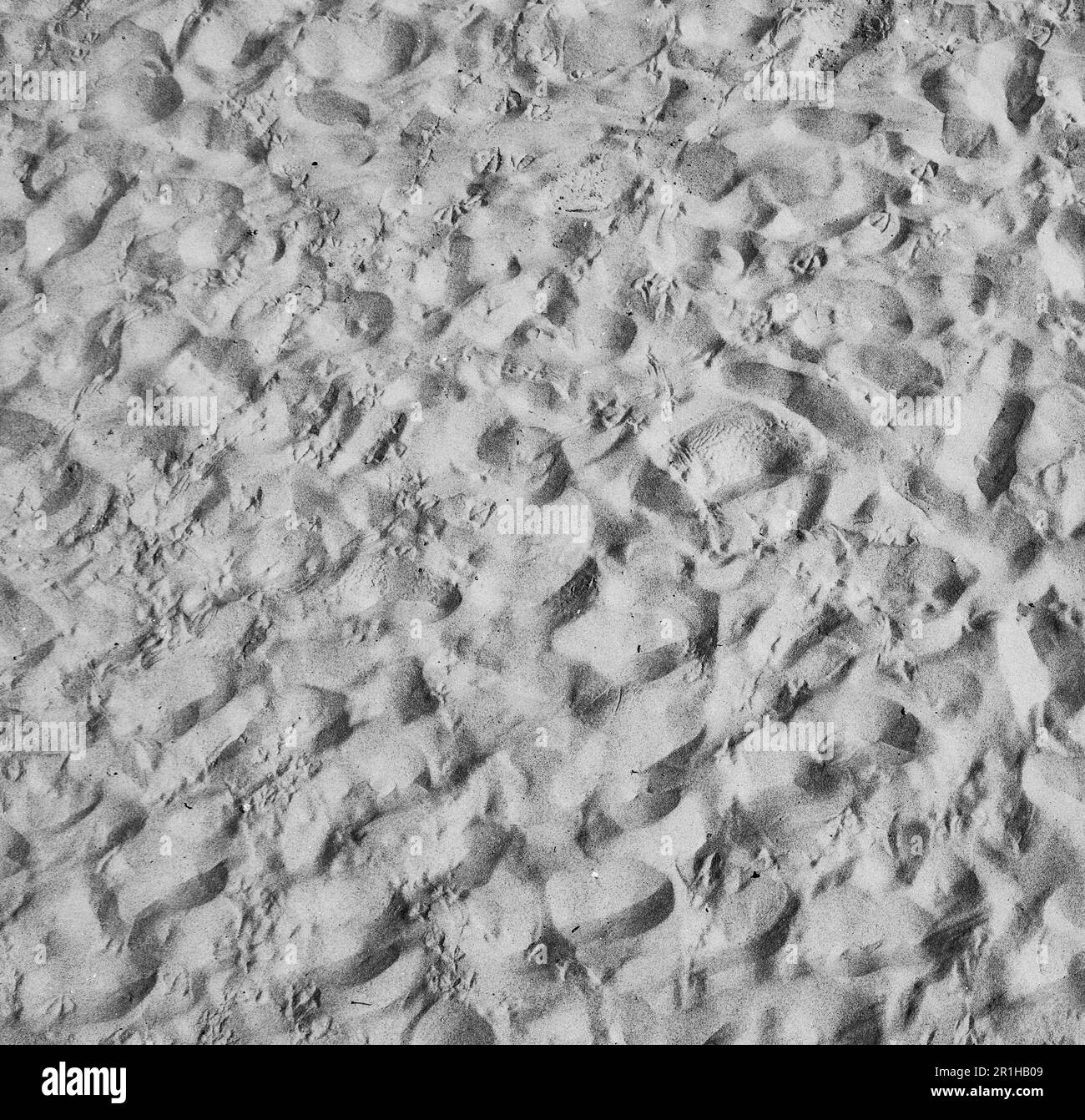 Nature Beach Sand Pattern Close Up Of Sand On The Beach · Free Stock