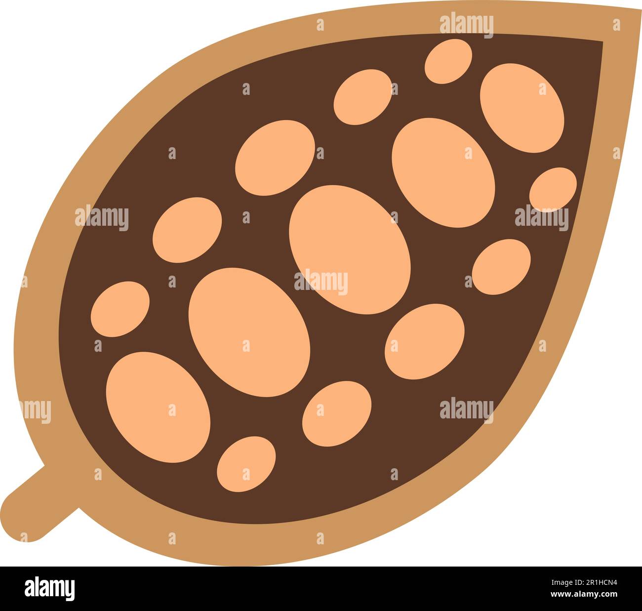 Cocoa bean processing Stock Vector Images - Alamy
