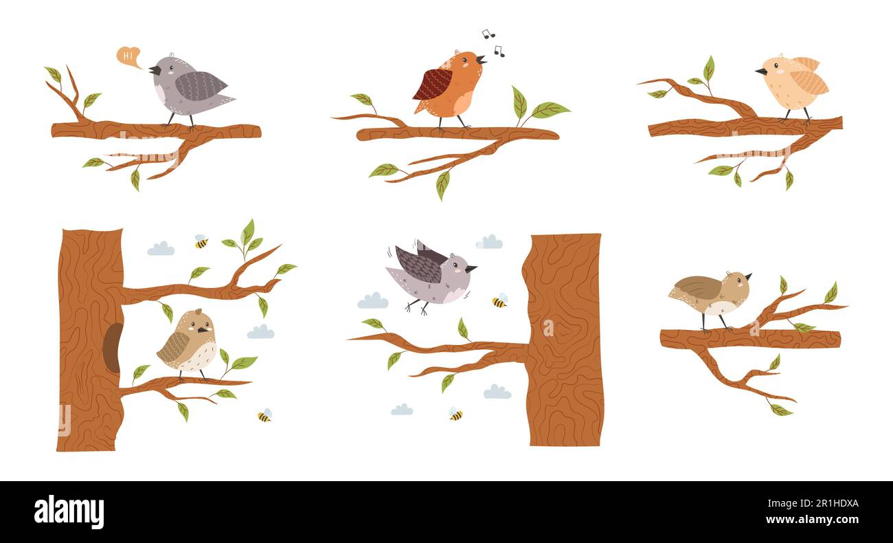 Species of small tree Cut Out Stock Images & Pictures - Alamy