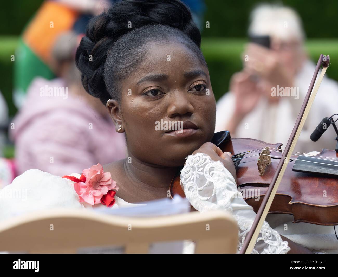 Liver violin player hi-res stock photography and images - Alamy