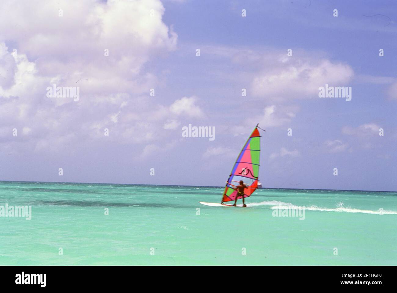 Aruba: Yong man windsurfing (or boardsailing) in Aruba's ideal ...