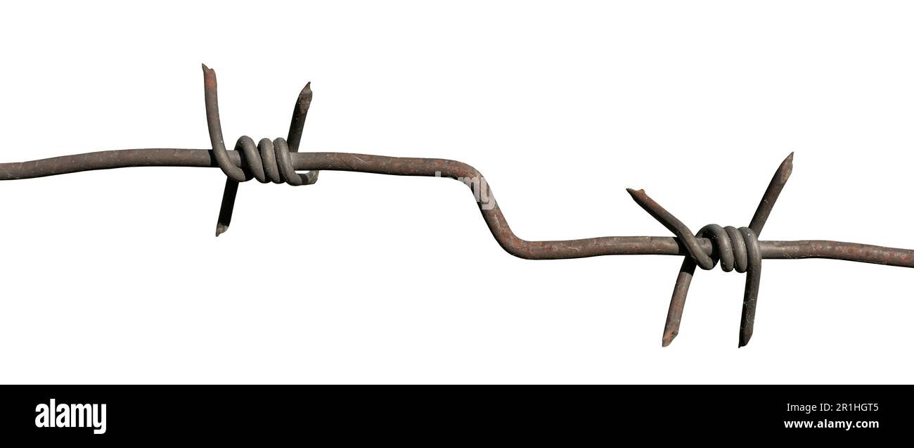 Pieces of barbed wire close-up on a white background. The escape ...
