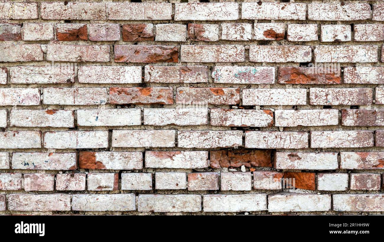 Weathered and damaged brick wall with faded white paint background ...