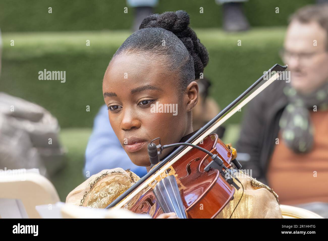 Liver violin player hi-res stock photography and images - Alamy