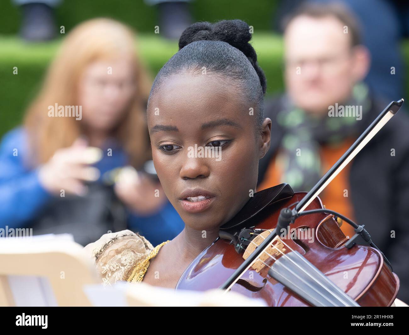 Liver violin player hi-res stock photography and images - Alamy