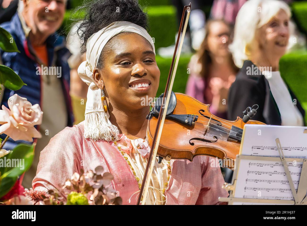 Liver violin player hi-res stock photography and images - Alamy