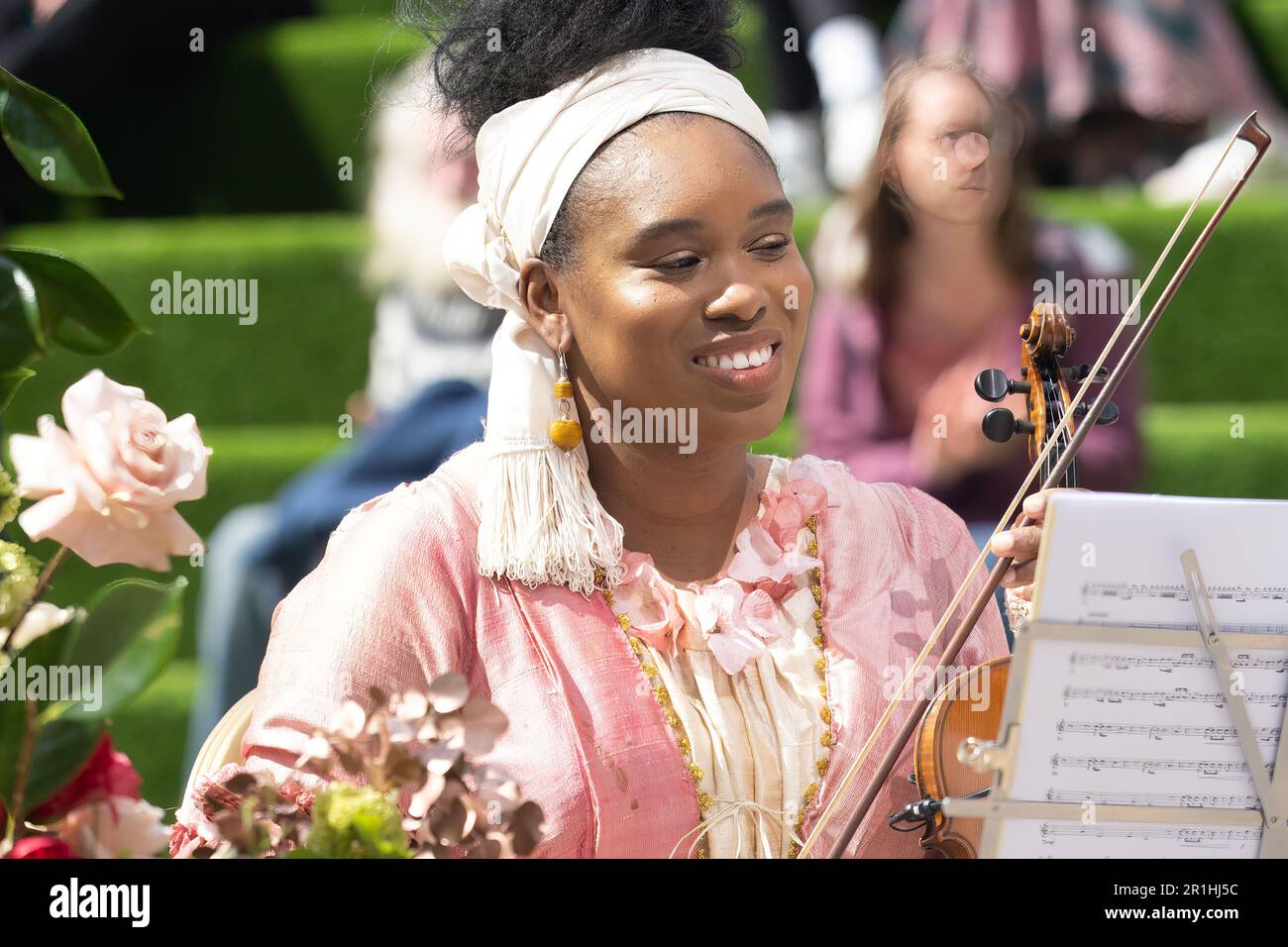 Liver violin player hi-res stock photography and images - Alamy