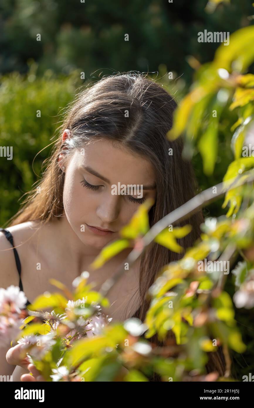 Serious girl poses with downcast eyes behind a blossoming sakura tree ...