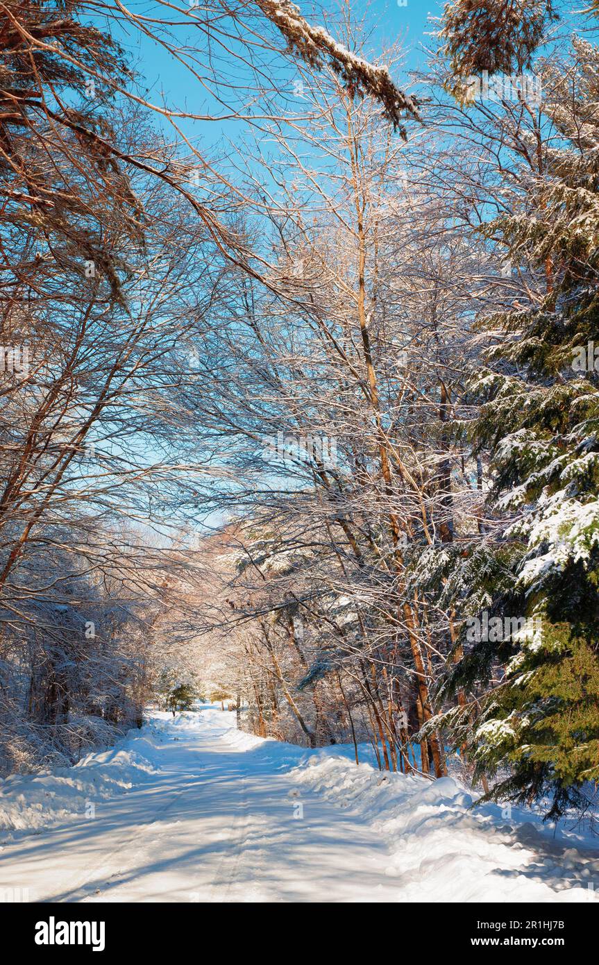 Winter in New England is always inviting with classic scenes Stock ...