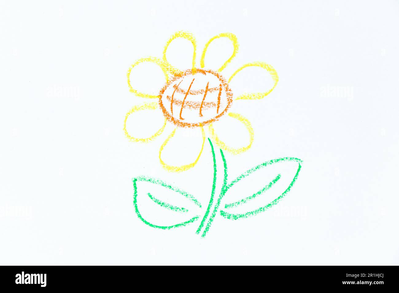Color oil pastel hand drawing in flower shape on white paper background ...