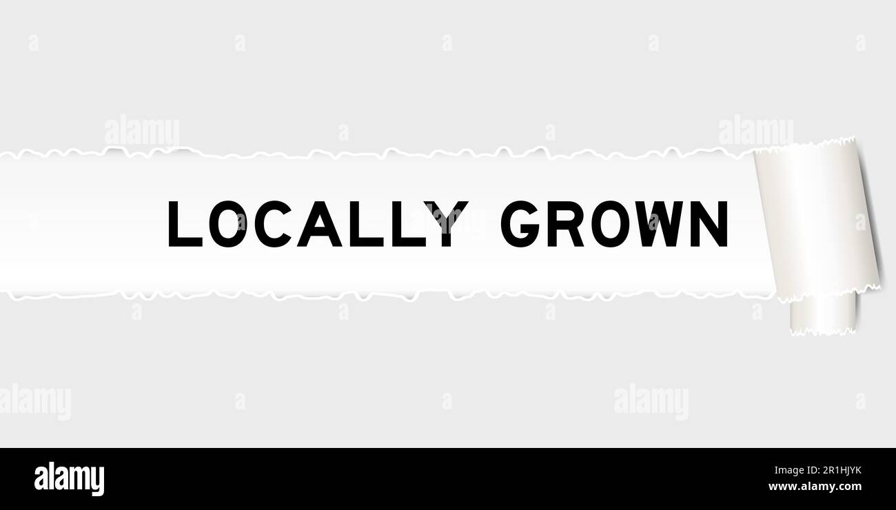 Ripped gray paper background that have word locally grown under torn part Stock Vector Image ...