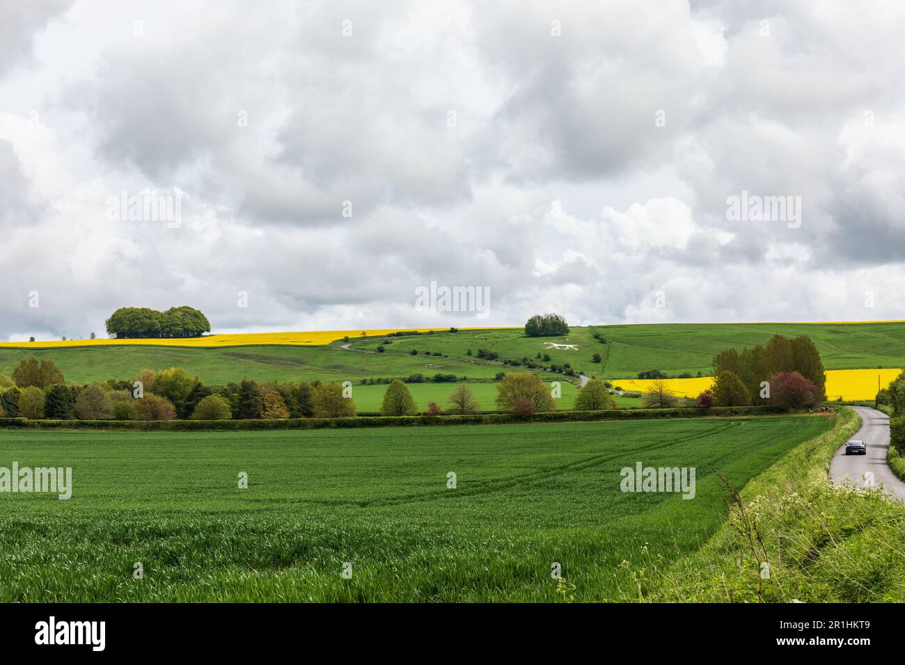 Hackpen Hill chalk white horse landmark near Broad Hinton, Wiltshire ...