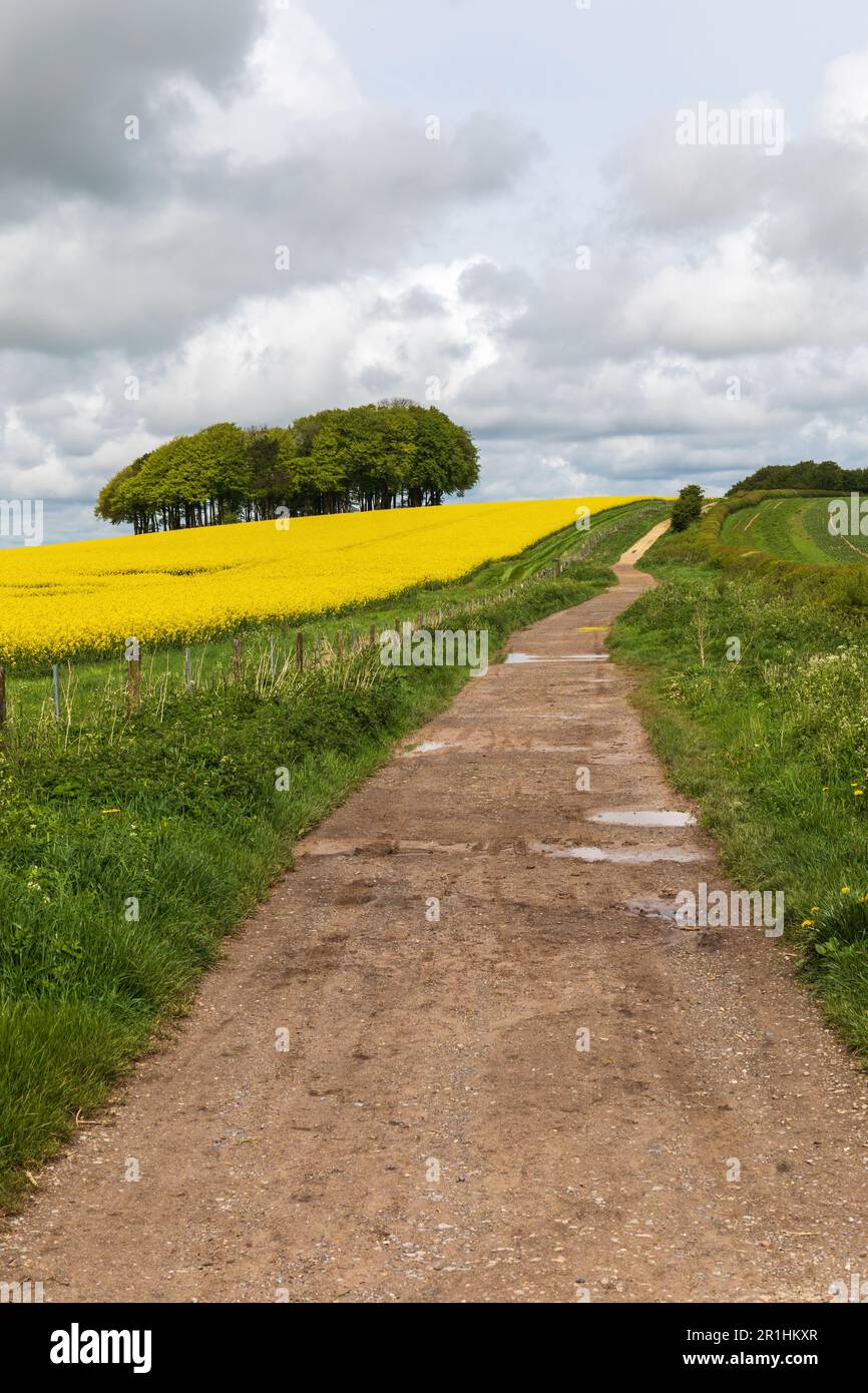 Grassland trail hi-res stock photography and images - Alamy