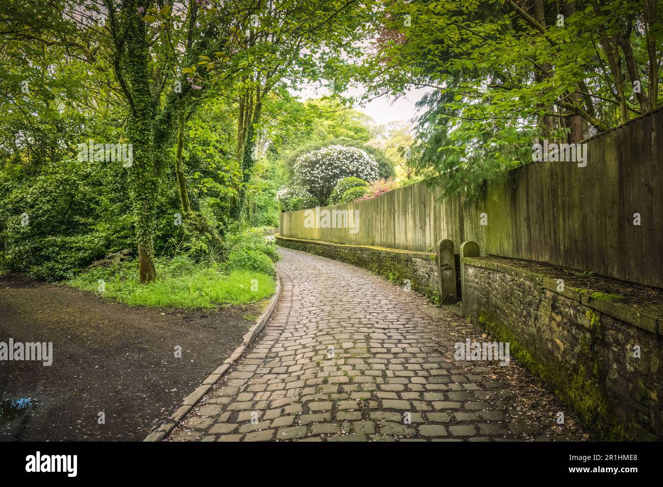 Traditionmal cobbled lane at jumbles country park Stock Photo - Alamy