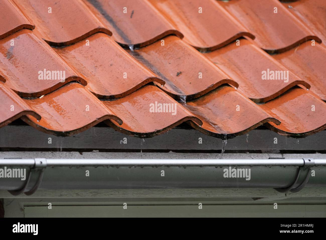 Rivulets of rain running down a roof into a metal raingutter Stock ...