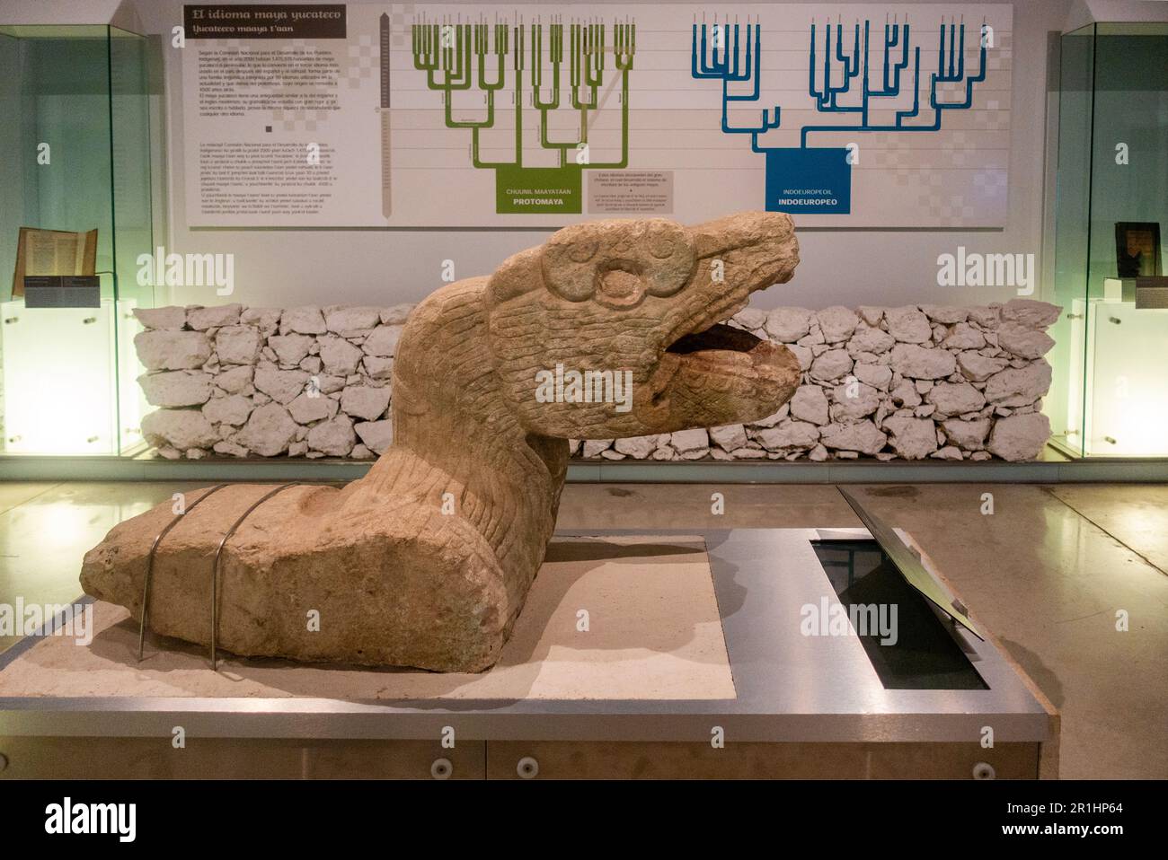 Grand Museum of the Mayan World of Merida Yucatan Mexico Stock Photo ...